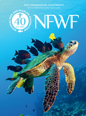 What We Do | NFWF
