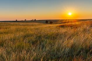 Southern Plains Grassland Program | NFWF